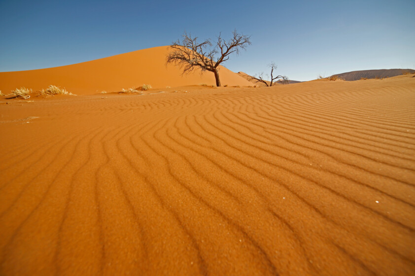 Kalahari Desert – Visit Namibia