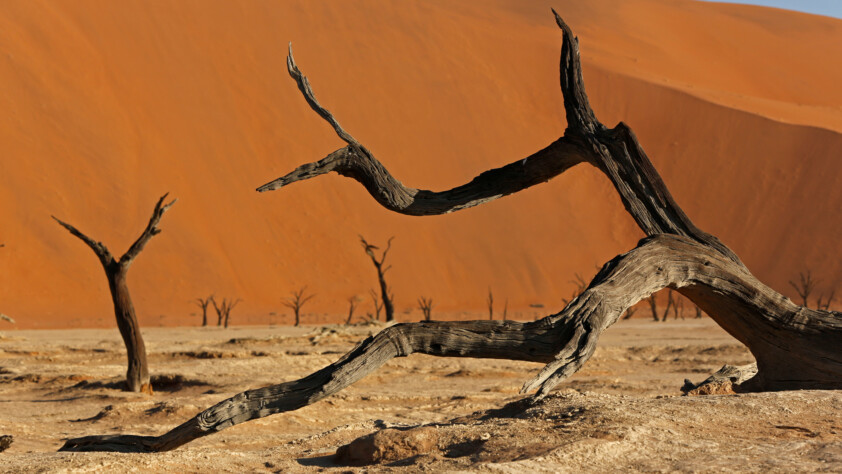 Namibia at a Glance – Visit Namibia