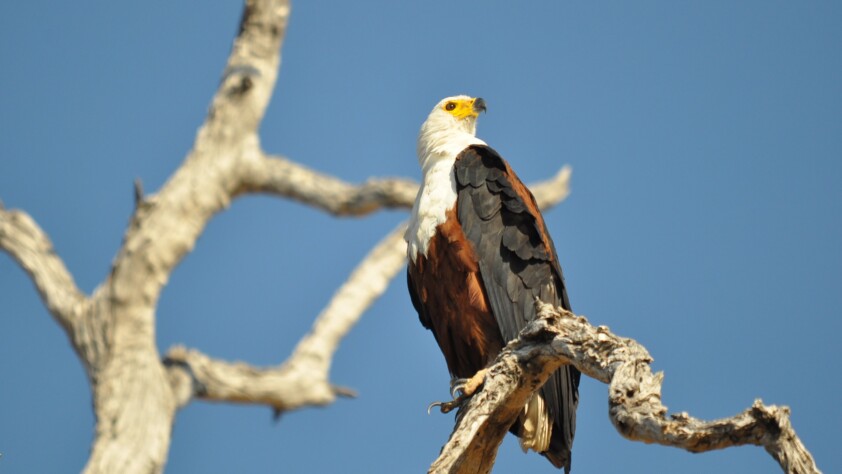 National Parks – Visit Namibia