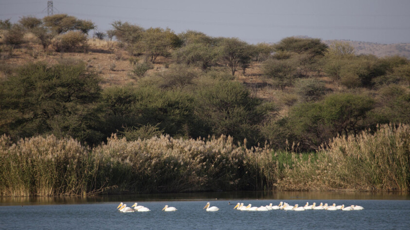 Namibia at a Glance – Visit Namibia