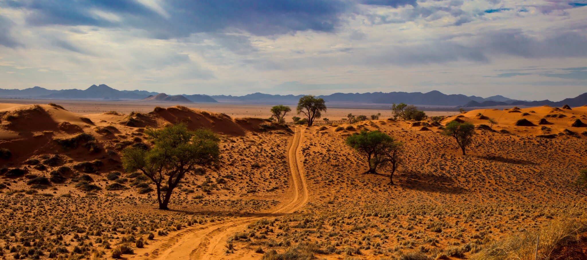 Climate – Visit Namibia